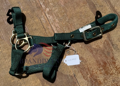 Hunter green foal halter